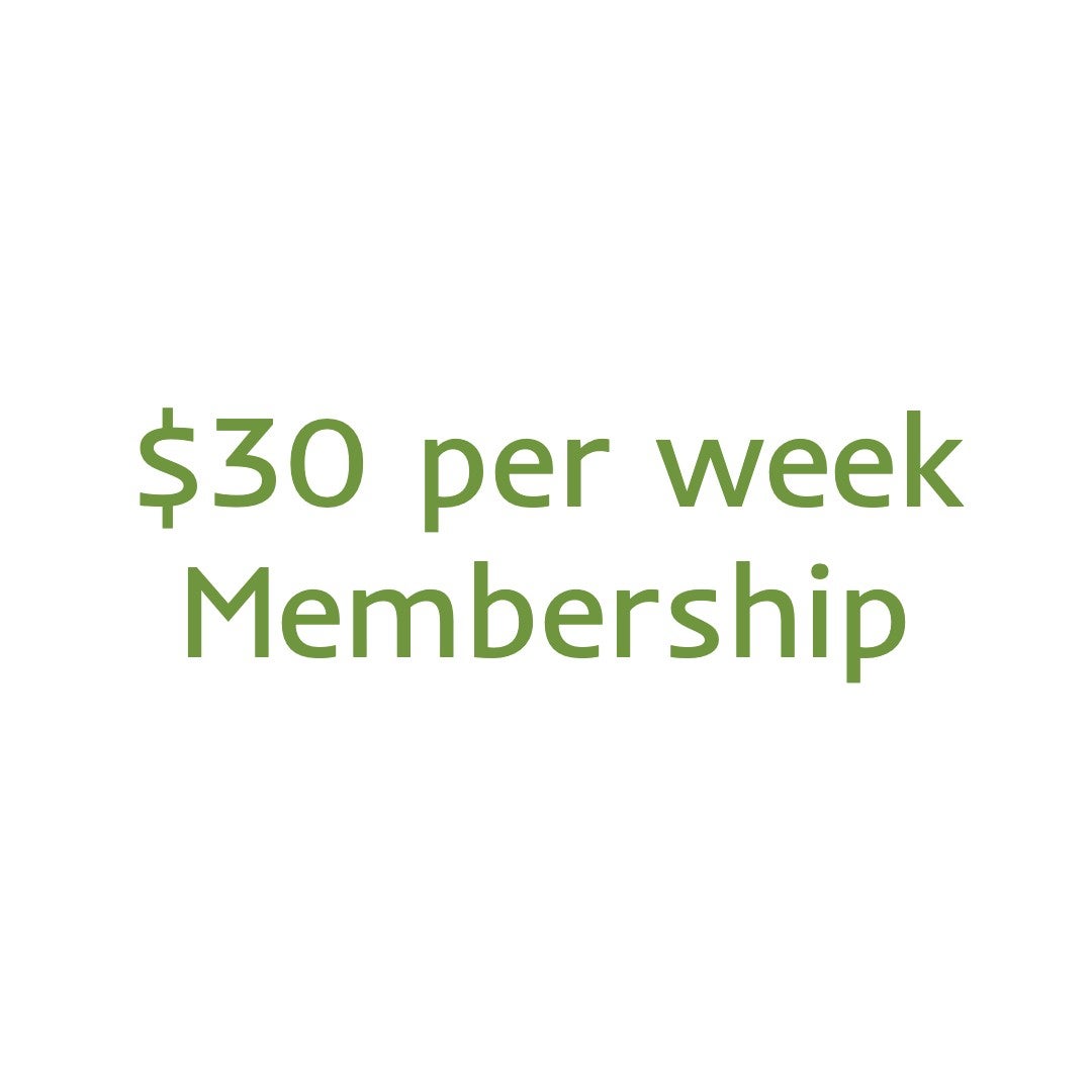 $30 per week Membership - 4 weeks | Sydney Golf Tech